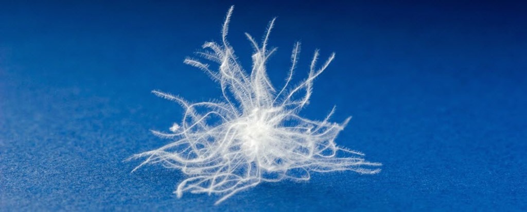 Down vs. Synthetic insulation. Which is right for you? - Taunton ...