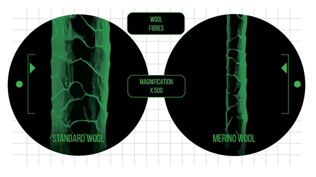 Let’s talk merino wool - Taunton Leisure Blog