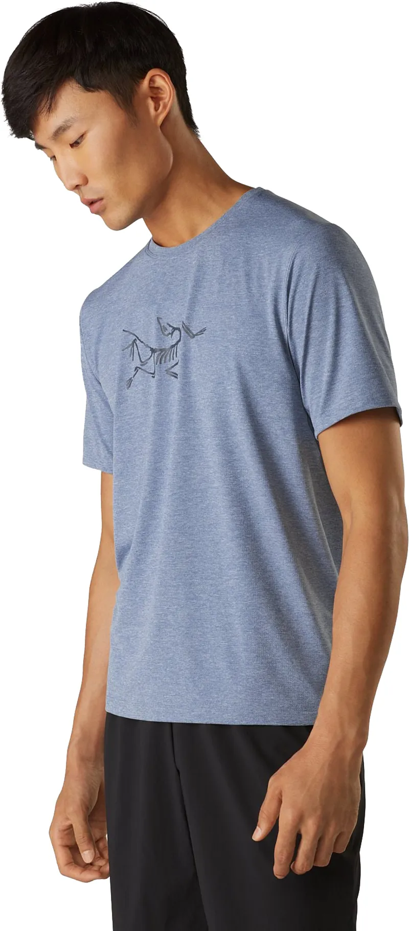 Arcteryx Mens Cormac Logo SS Tee - Aeroponic